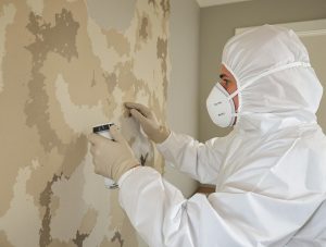 7 Symptoms of Long-Term Exposure to Black MoldMobile Care Health